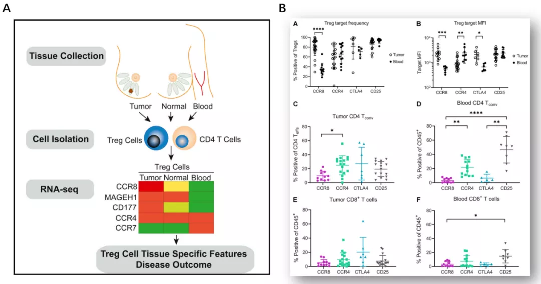 CCR8——肿瘤免疫领域的一颗新星