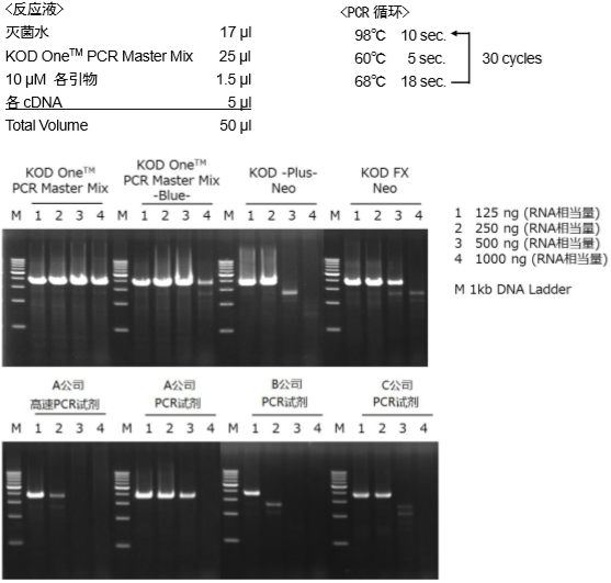 KOD One PCR Master Mix